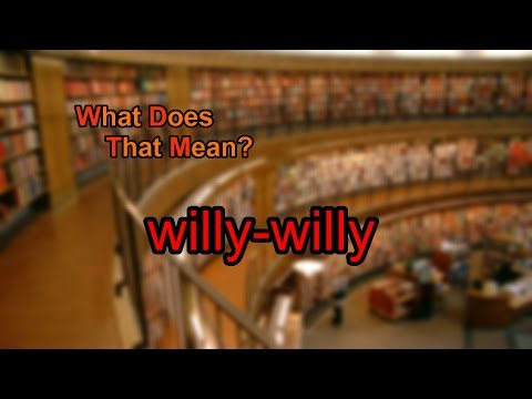 What does willy-willy mean?