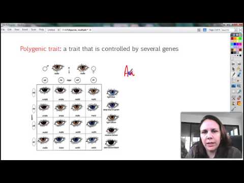 7-6 Polygenic traits