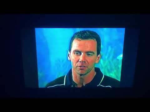 AFL Paul Salmon announces his retirement news report 2000