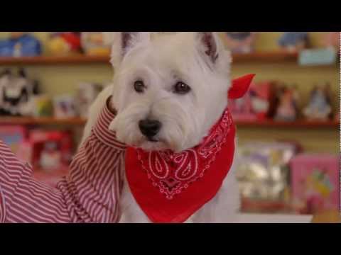 Paisley Bandanas - Vidler's TV Episode 16