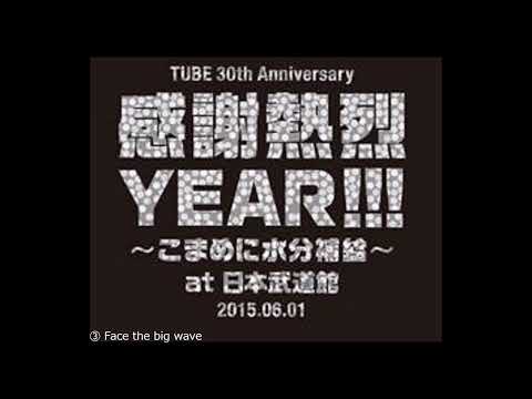 【耳で聴くライブ】2015年『TUBE 30 th Anniversary 感謝熱烈YEAR!!! ~こまめに水分補給~ at 日本武道館』セットリスト【作業用BGM】