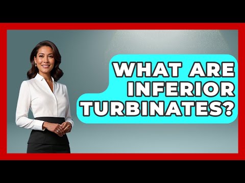 What Are Inferior Turbinates? - Ear Nose Throat Expert