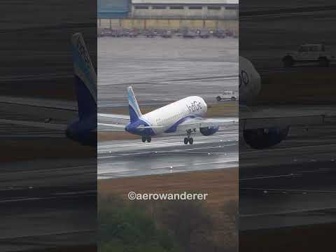 INDIGO A320NEO landing at Chennai Airport #shorts #aviation #plane #indigo #a320 #landing #chennai