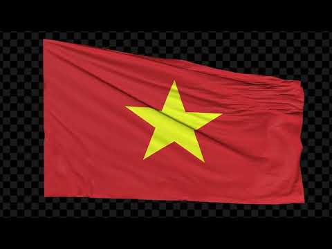 Vietnam flag waving material  Vietnam flag