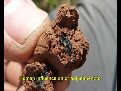 Soil Definition
