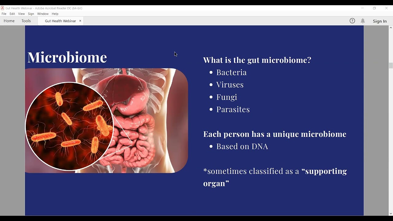 Gut Health: Nutrition for a Health Colon Webinar