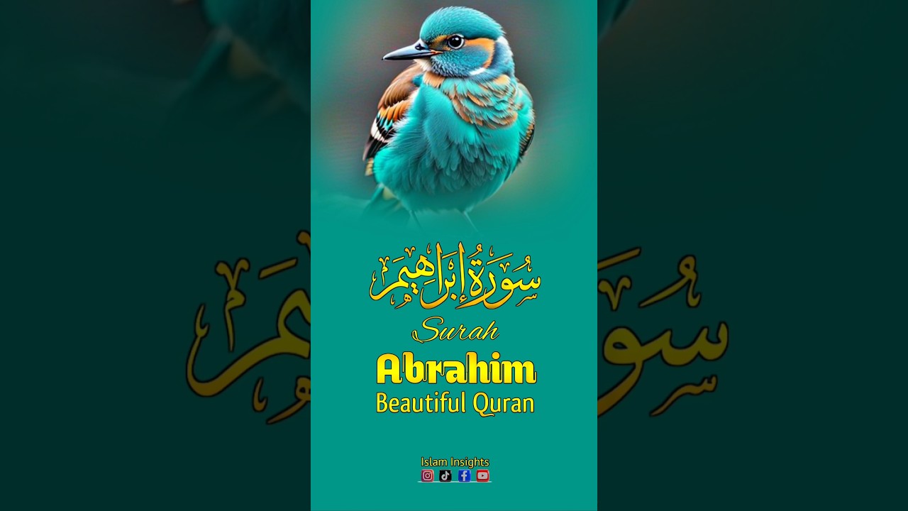 Surah Al Ibrahim سوره الابراھیم Beautiful Recitation