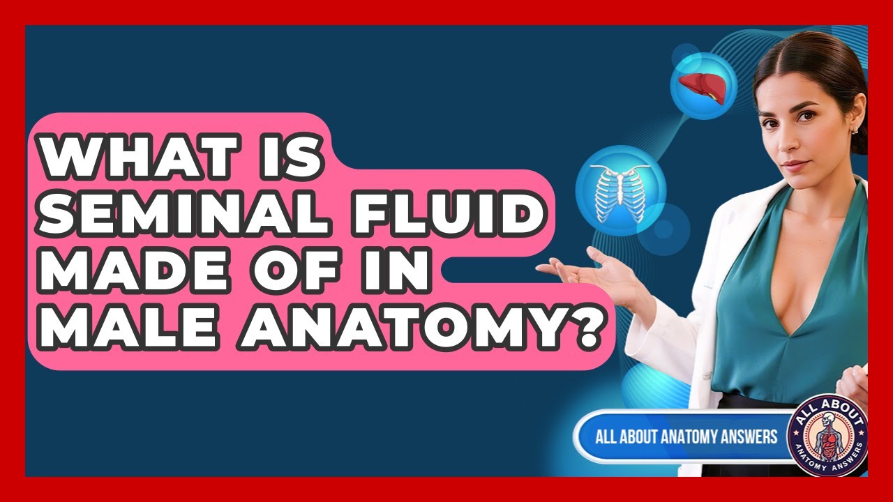 What Is Seminal Fluid Made Of In Male Anatomy? - All About Anatomy Answers