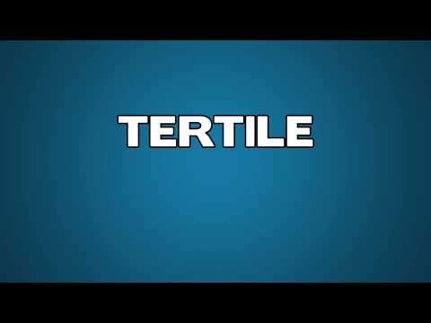 Tertile Meaning – English Video Dictionary