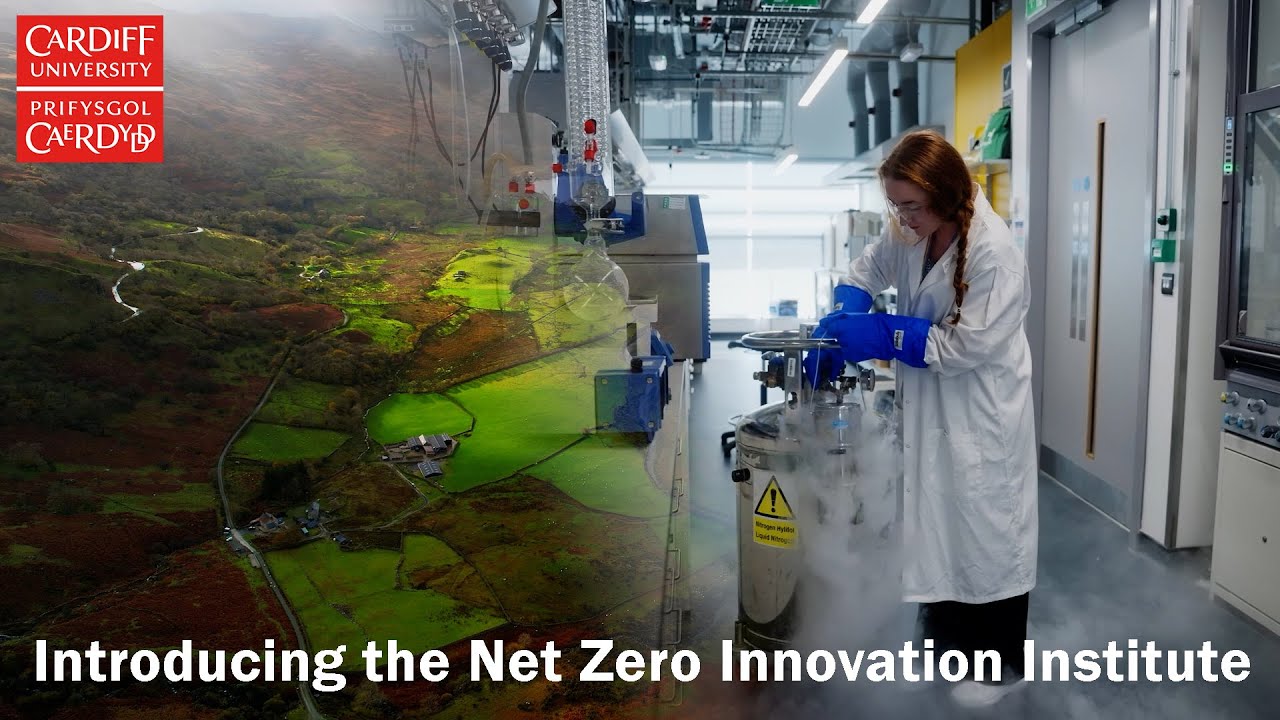 Introducing the Net Zero Innovation Institute