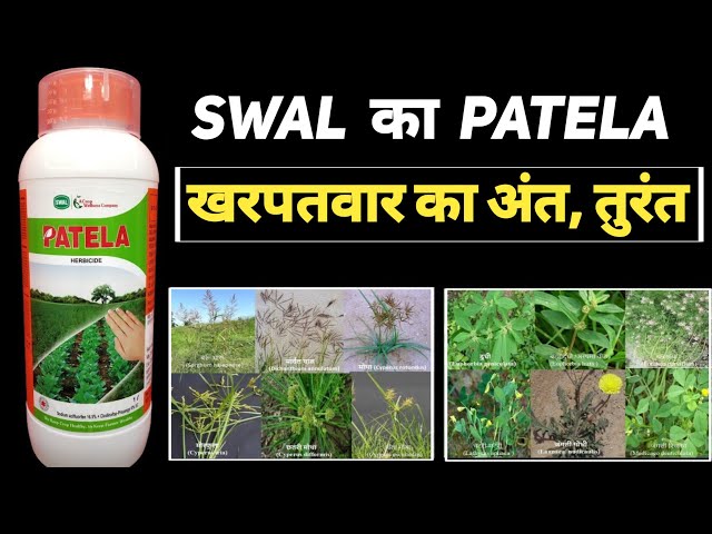 Agriculture Herbicide - Hitweed Maxx Herbicide Trader - Retailer from Surat