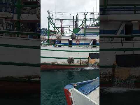 Palaot Na Purse Seiner
