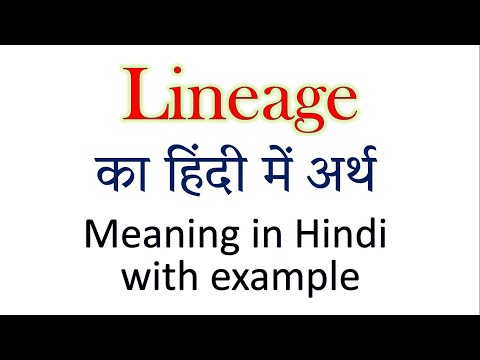Lineage meaning in Hindi | Explained Lineage With Using Sentence