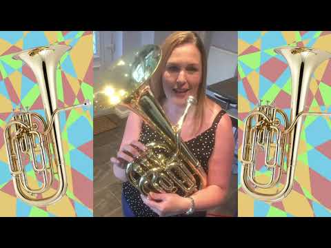 Introduction to the Baritone