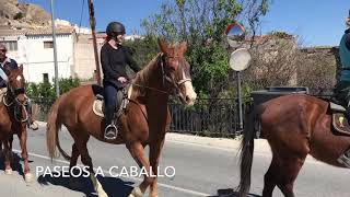 Partaloa | My Almeria