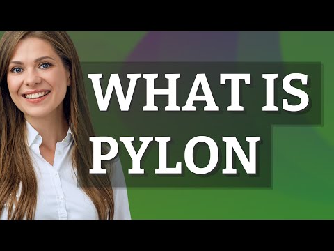 Pylon | meaning of Pylon