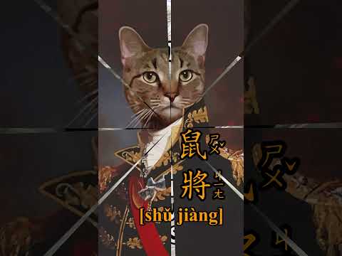 CC Shorts - Cat