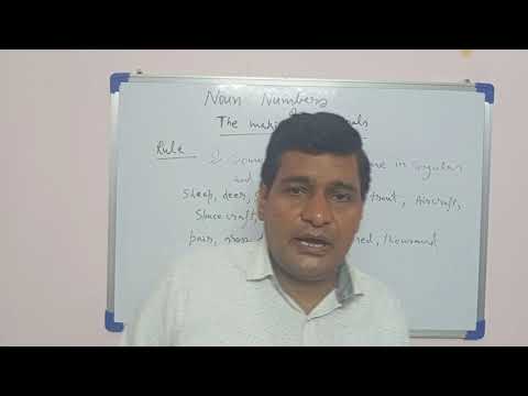 Understanding the Form and Working of Singular and Plural Nouns