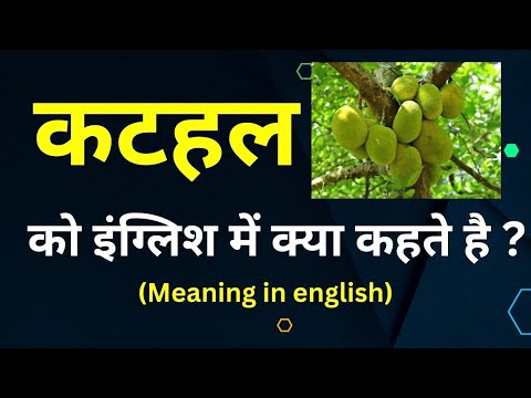 कटहल को इंग्लिश मे क्या कहते हैं  || kathal ka english meaning || word meaning in english