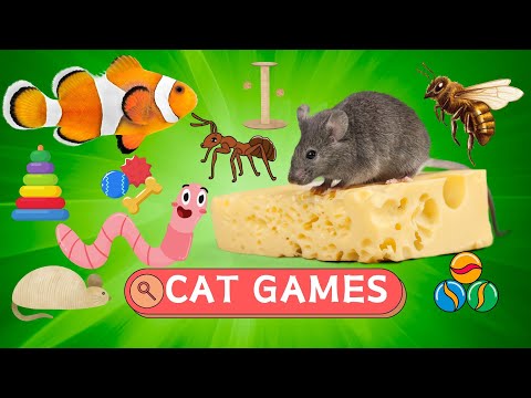 Cat Game - Catch Mouse π, Ball, Butterfly, Second - 1 HOUR (Game for cats to watch)