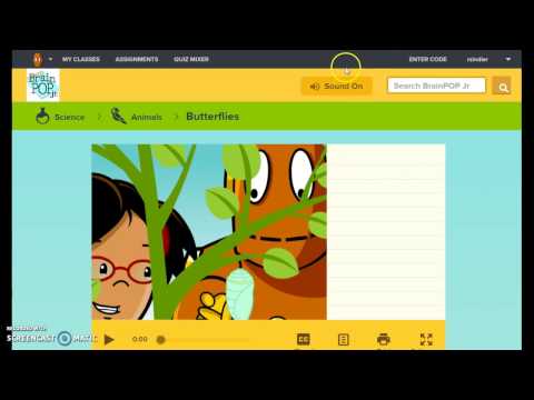 A New Look at Brainpop | stories and tips for the inclusive classroom