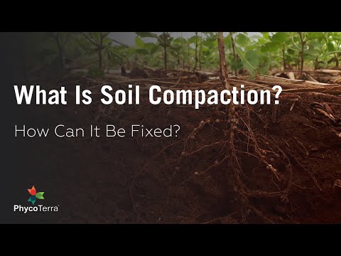 What is Soil Compaction and How Can You Fix it? | PhycoTerra is the Solution