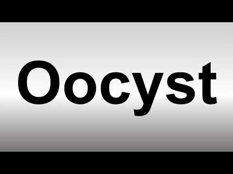 How to Pronounce Oocyst