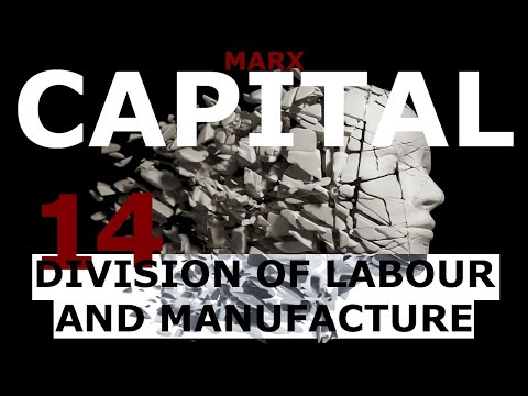 Understanding Marx's Capital Volume 1 Chapter 14 - Division of Labour and Manufacture