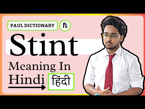 Stint Meaning in Hindi/Urdu | Meaning of Stint | Stint ka matlab? | Stint क्या है?