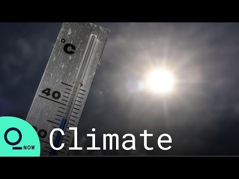 Temperature Trends Compared to Pre-1900 Average
