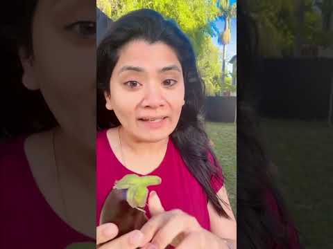 π§βοΈ Brinjal vs Eggplant vs AubergineππWhich one is correct? #english #vegetable #trendingvideo