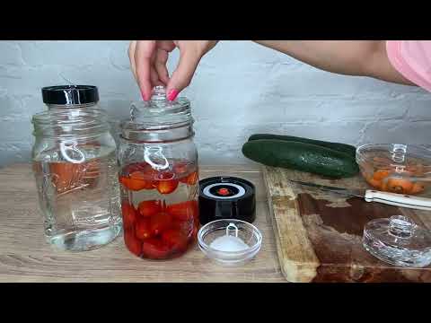 #shorts Easy Fermenter Wide Mouth Fermentation Kit (3 Lids + 3 Weights + Pump).mp4