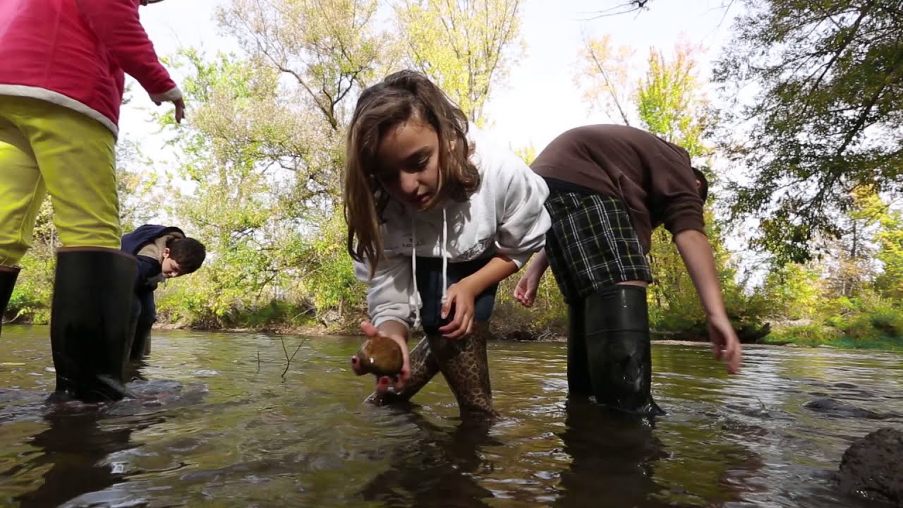 Boise WaterShed Exhibits, Inc. Video