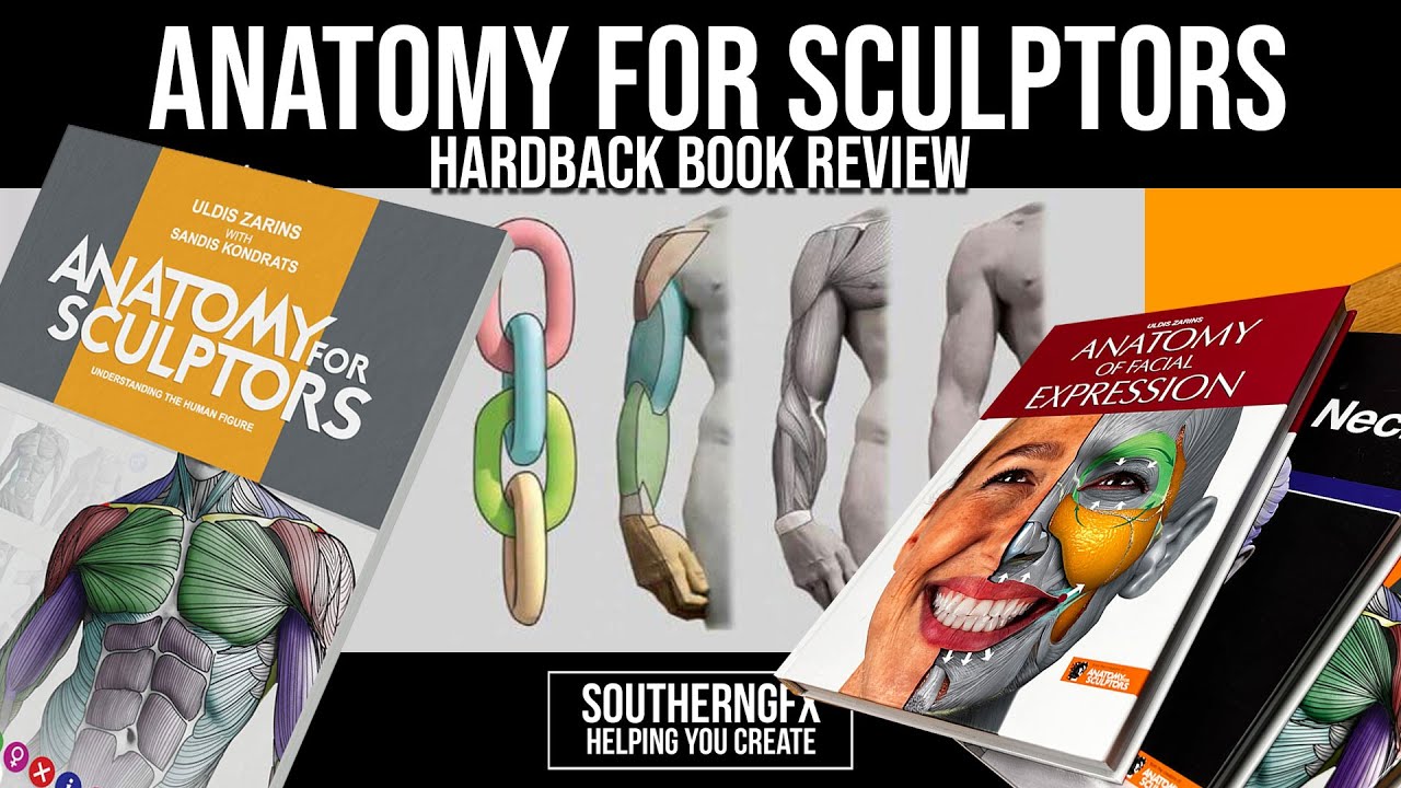 Anatomy for Sculptors – Understanding the anatomy of the Human Body