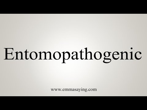 How To Say Entomopathogenic