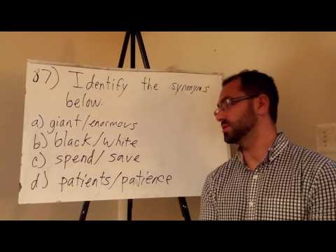 Identify the synonyms