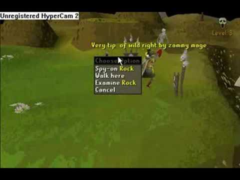New penguin hide and seek location!