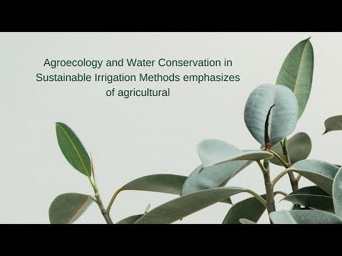 Agroecology and Water Conservation in Sustainable Irrigation Methods emphasizes of agricultural