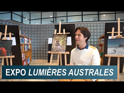 À découvrir : l'expo "Lumières australes" à la BU Ingénieurs Brabois de Nancy