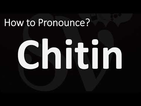 How to Pronounce Chitin? (CORRECTLY)