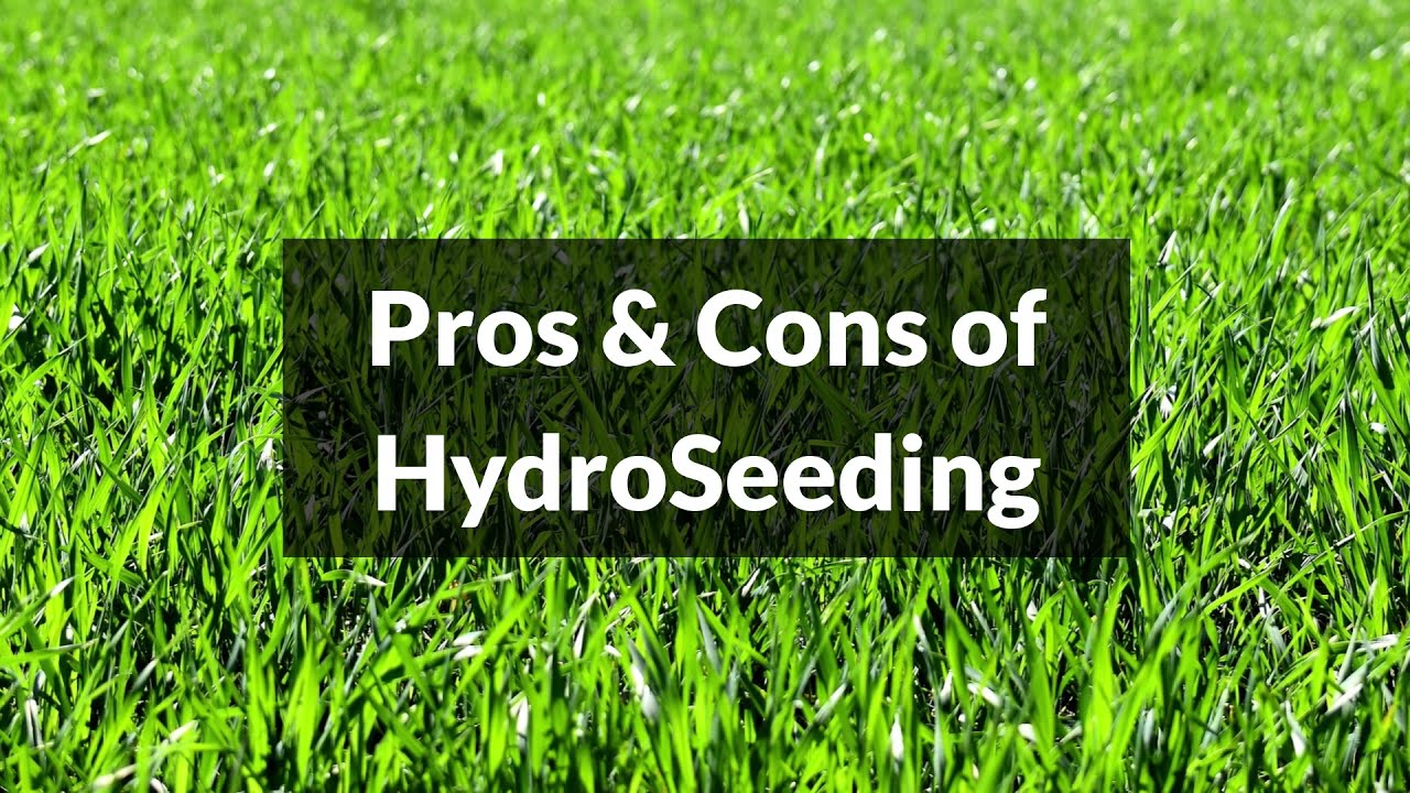 Hydroseeding Pros and Cons