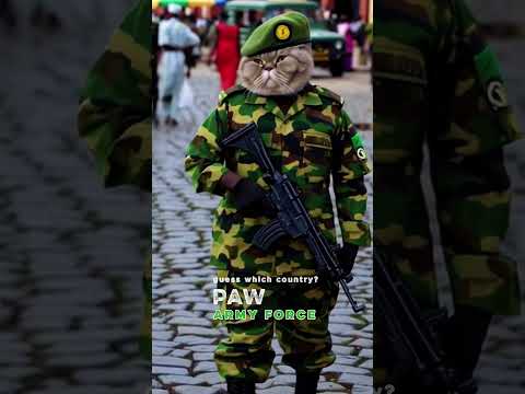 Paw Force On Action | Epic Cat Army Moves | #Short #army  #ai #military
