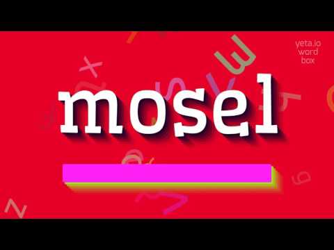 How to say "mosel"! (High Quality Voices)
