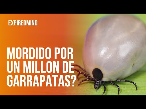 🕷 ¿Que pasaría si te PICARA 1 MILLÓN DE GARRAPATAS? 😰