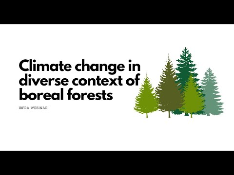 IBFRA Webinar - Climate change in diverse context of boreal forests
