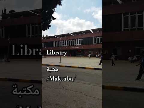 How To say "Library" in Arabic!🇸🇦🇵🇸🇯🇴🇱🇧🇪🇬🇮🇶🇩🇿🇸🇾 #arabic #levantine #learnarabic #arabo #learn