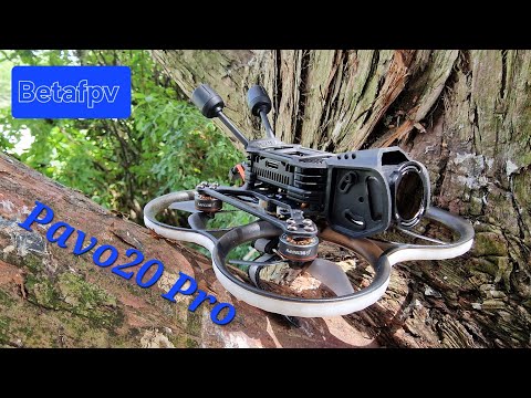 Pavo 20 Pro (04 pro) // New canopy! First flight