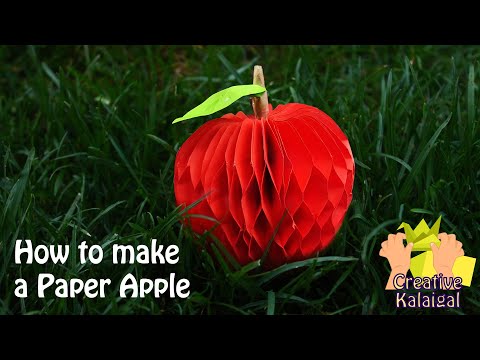 How to make a 3D apple with paper / DIY Paper Apple – Creative Kalaigal