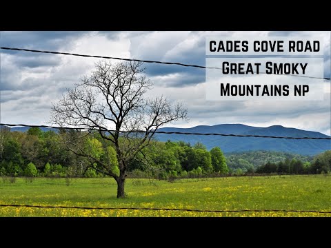 Top 11 Scenic Drives in Tennessee for Breathtaking Views