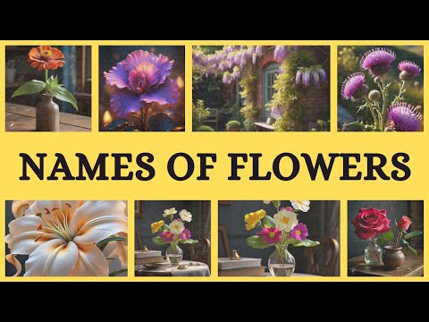 Names of Flowers With Pictures π| Flowers Name with Pronunciation πΉ| Learn English